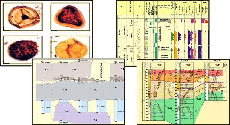 Biostratigraphy – erexegypt